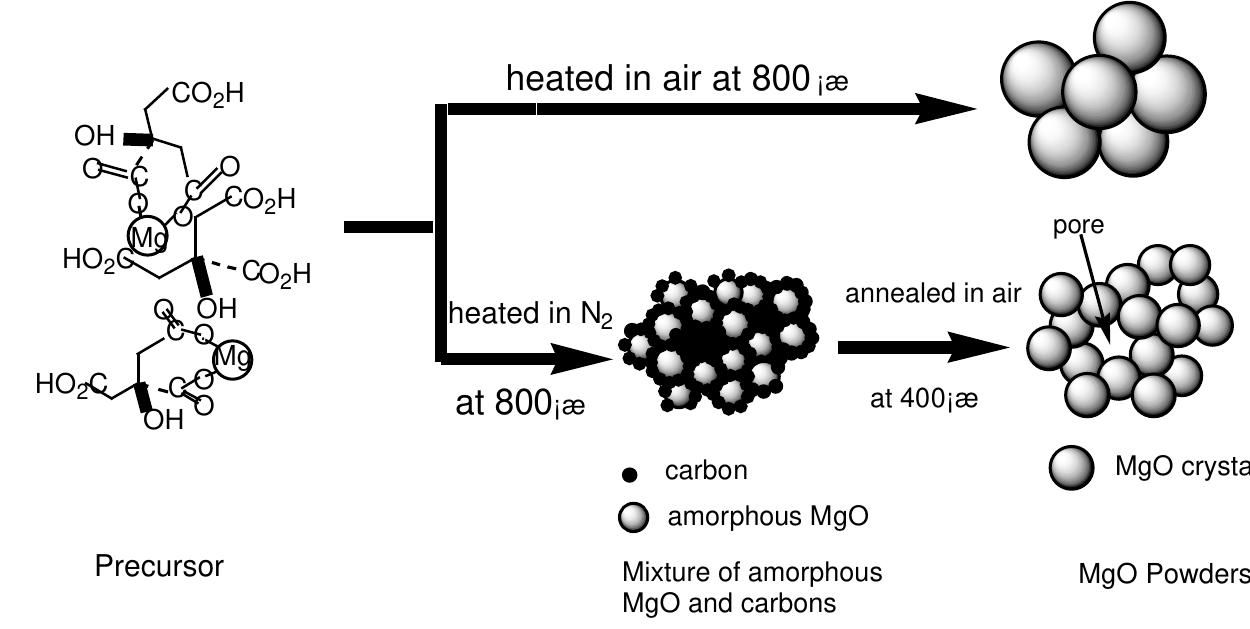 Schematic diagram of the mechanism of formation of mgo