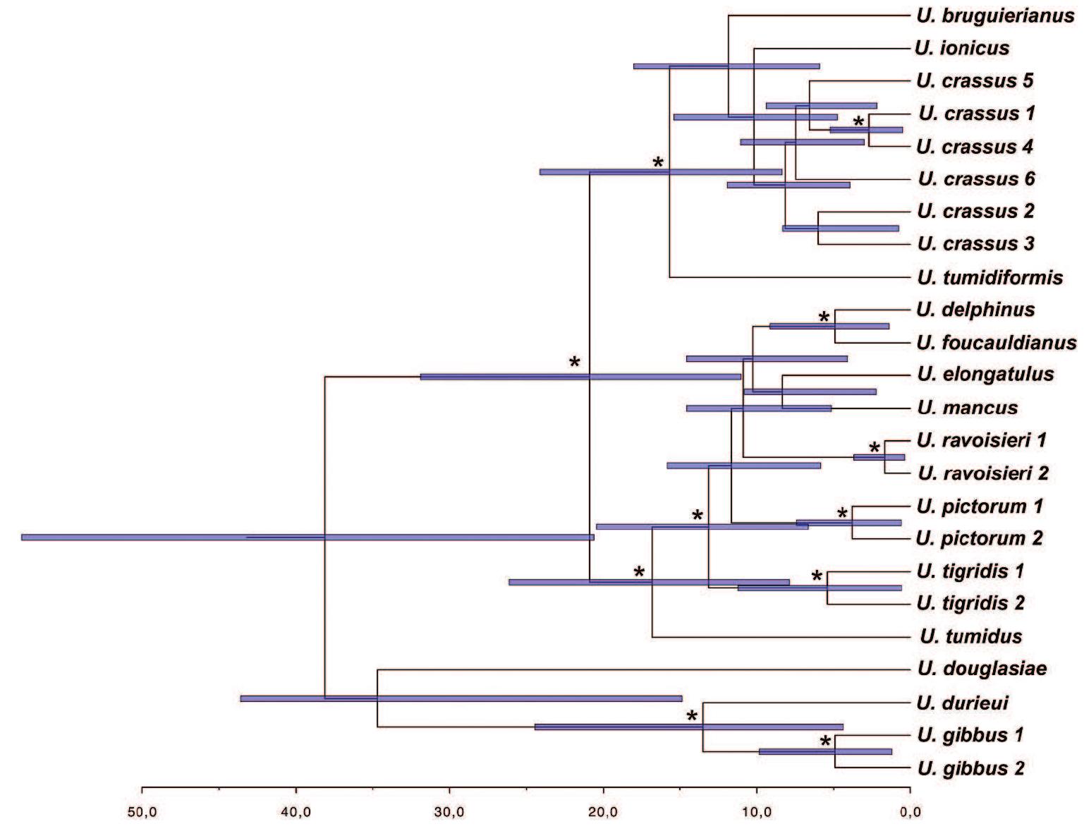 Coalescence-based species tree generated in beast. the