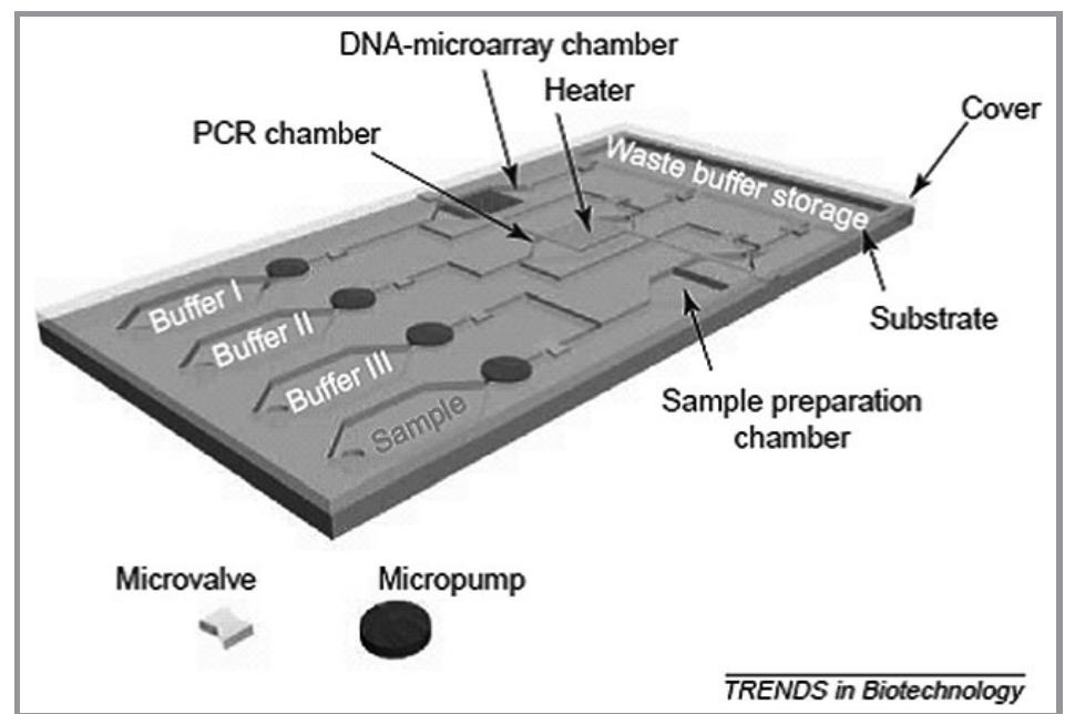 Schematic representation of a laboratory-on-a-chip (loc