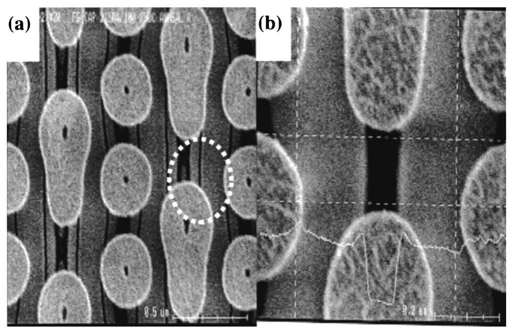 Plan view after bpsg gap fill and annealing at (a) 750°c and