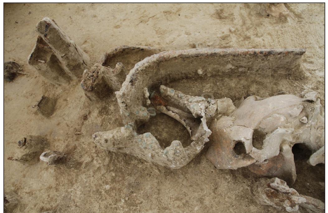Belvardgyula, carriage grave. horse i (yoked) and the yoke