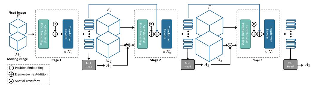The model has l stages with convolutional patch embedding