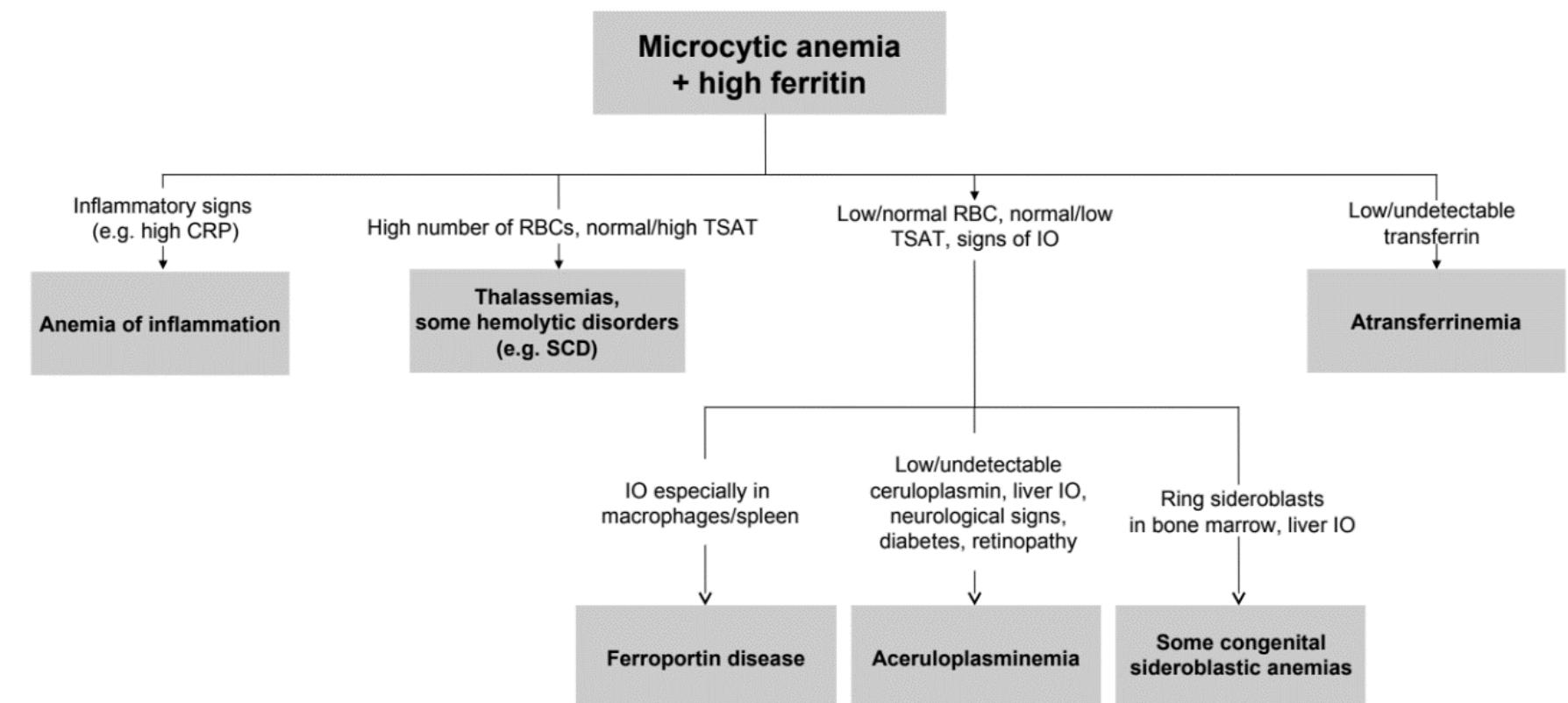 Simplified approach to microcytic anemia + high ferritin.