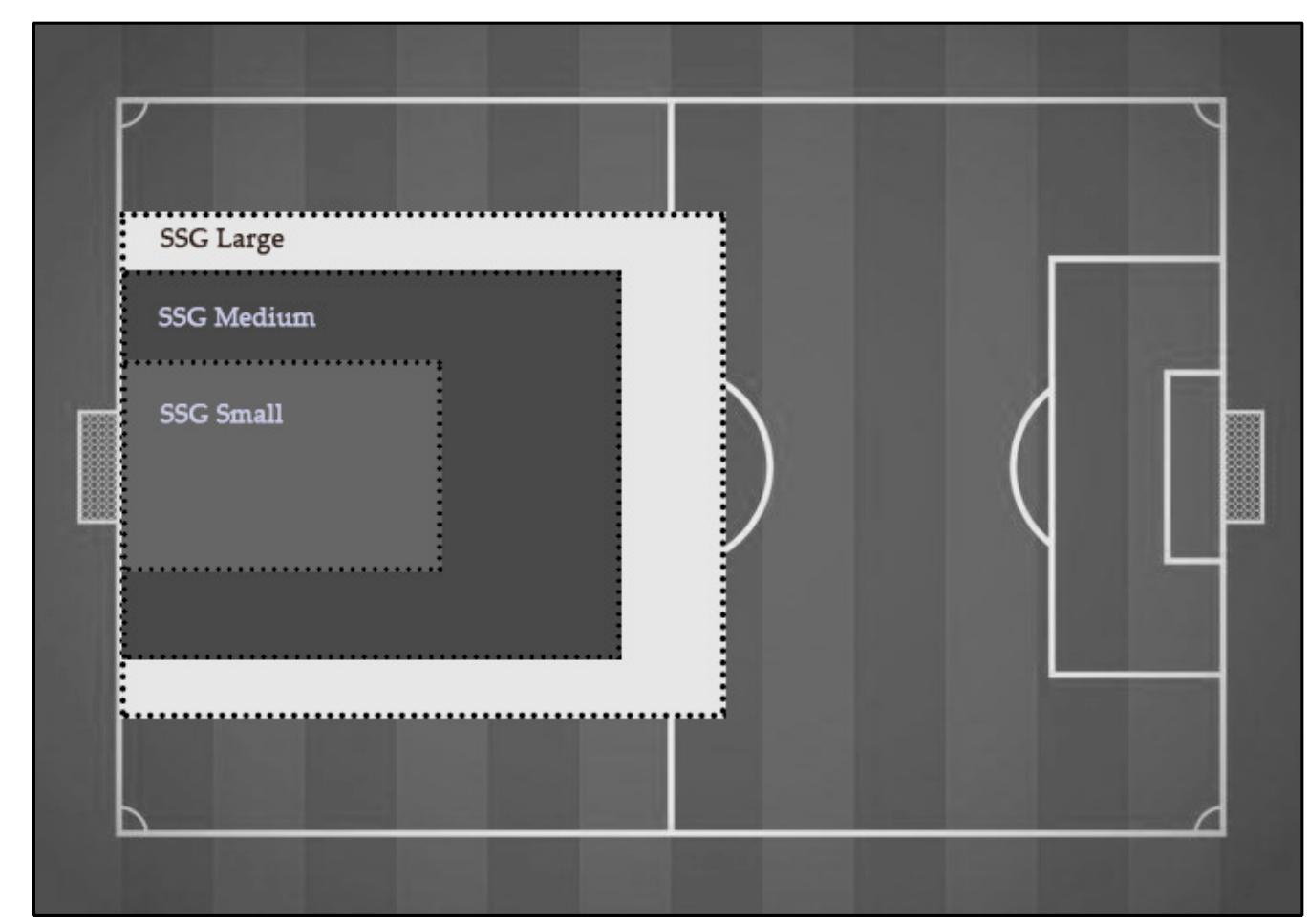 Three different pitch sizes of the ssg compared to the
