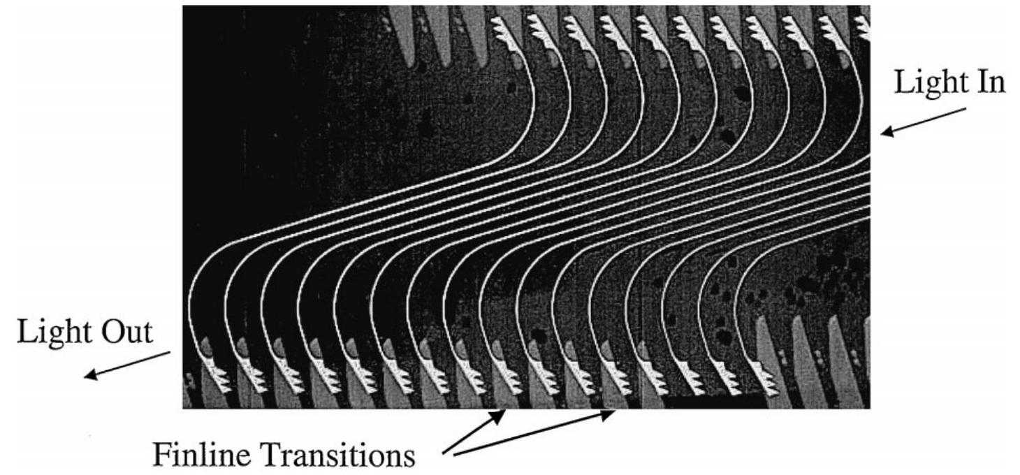Photograph of an array of polymer phase modulators built on