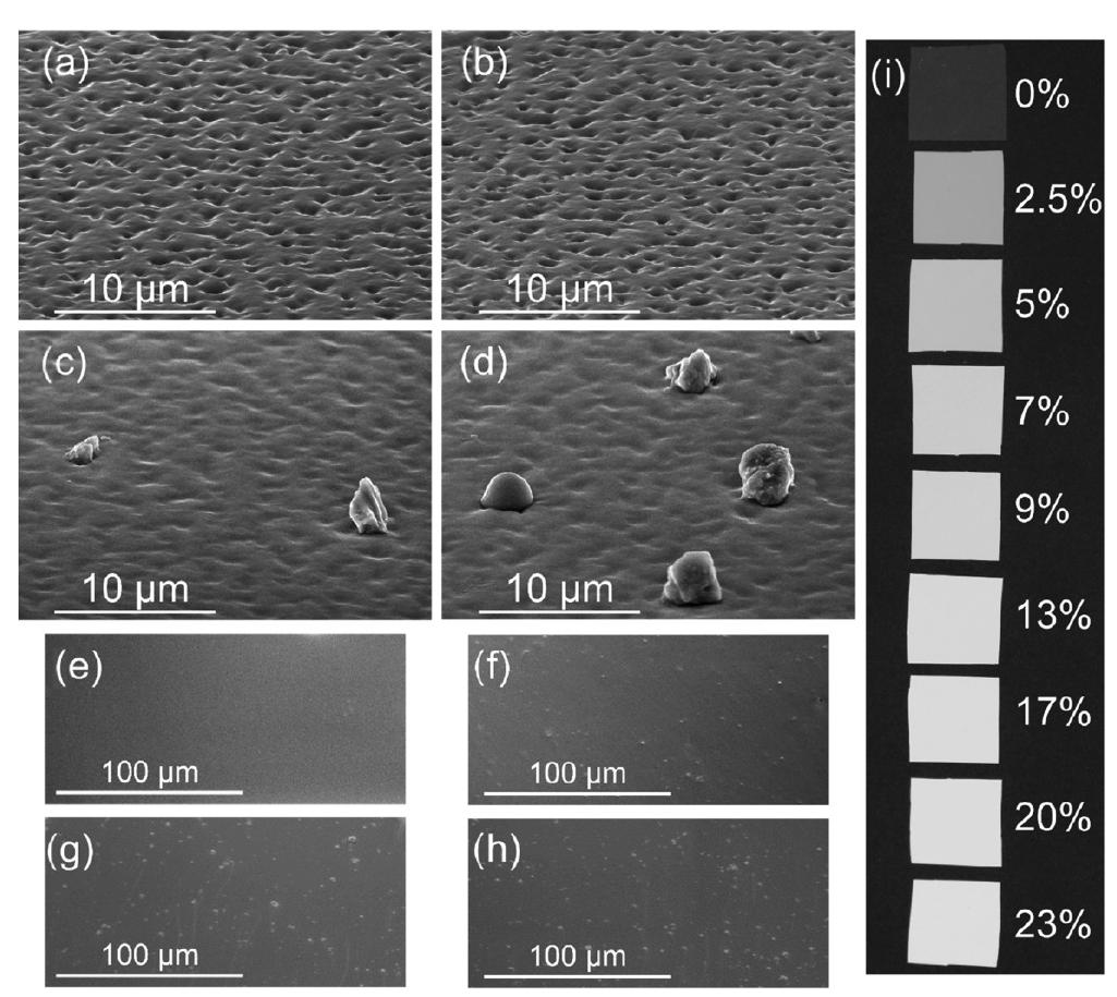 Sem images showing the surface (a—d) and cross section (e—