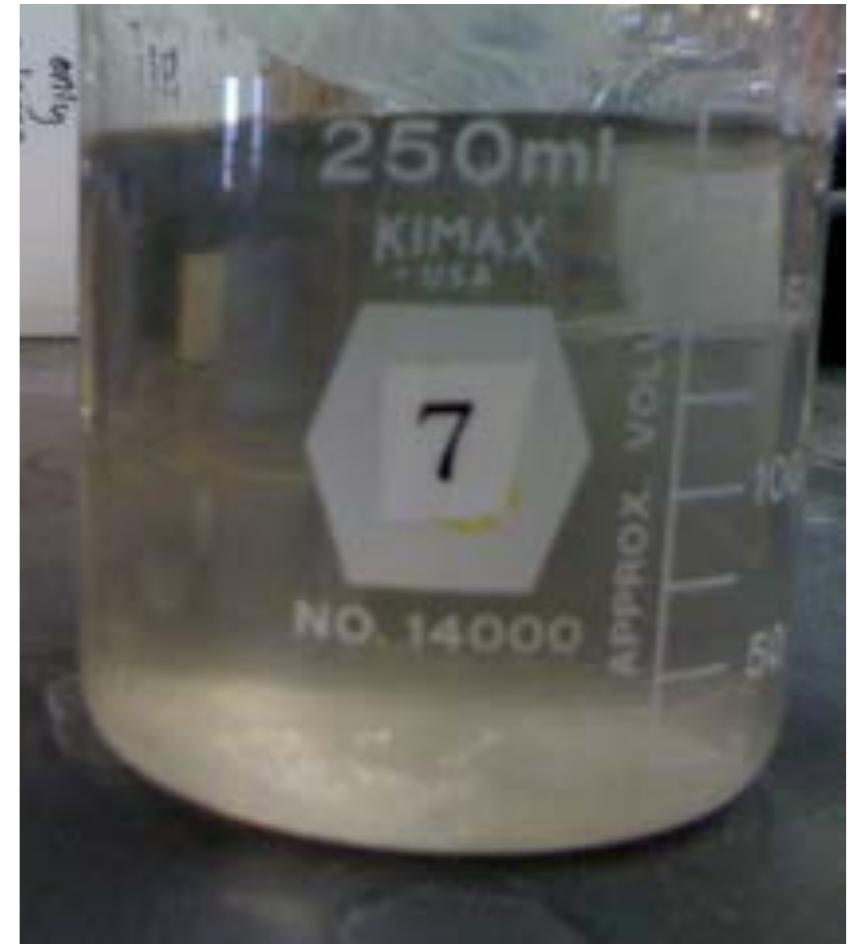 Figure 21 - Purification of sodium sulfate by