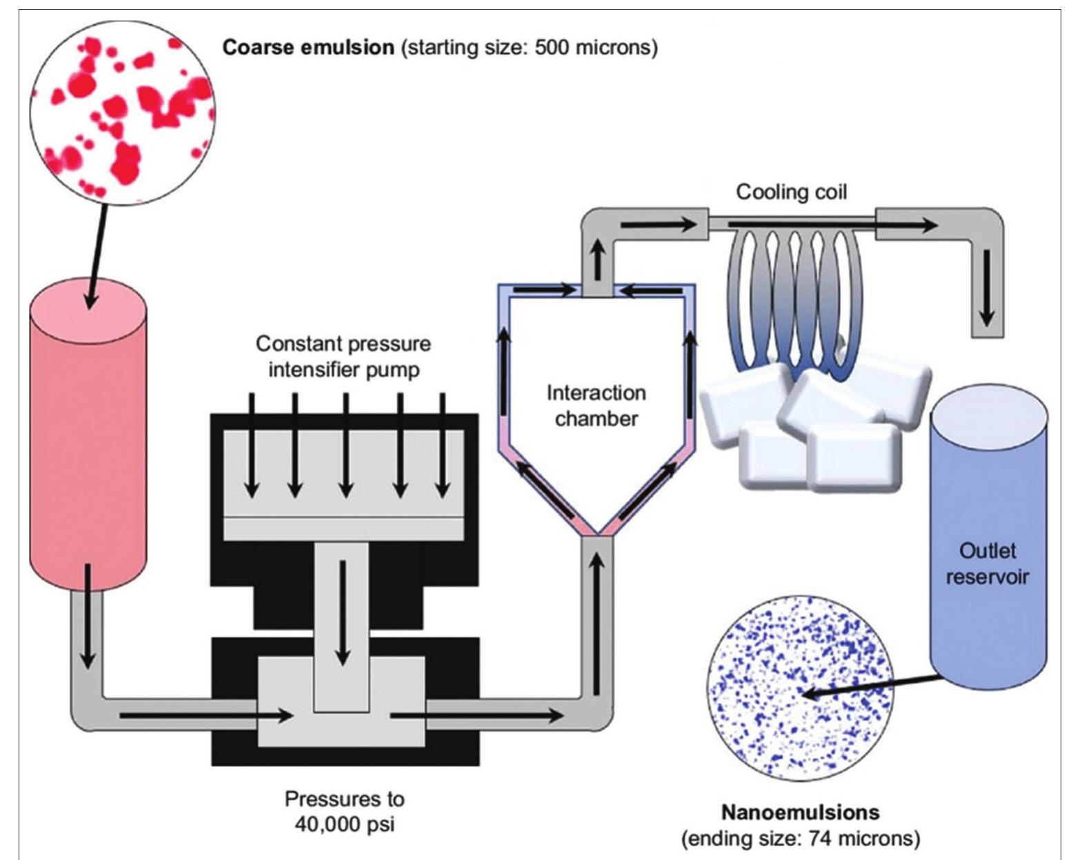 Microfluidization process. (i) adapted from reference [28].
