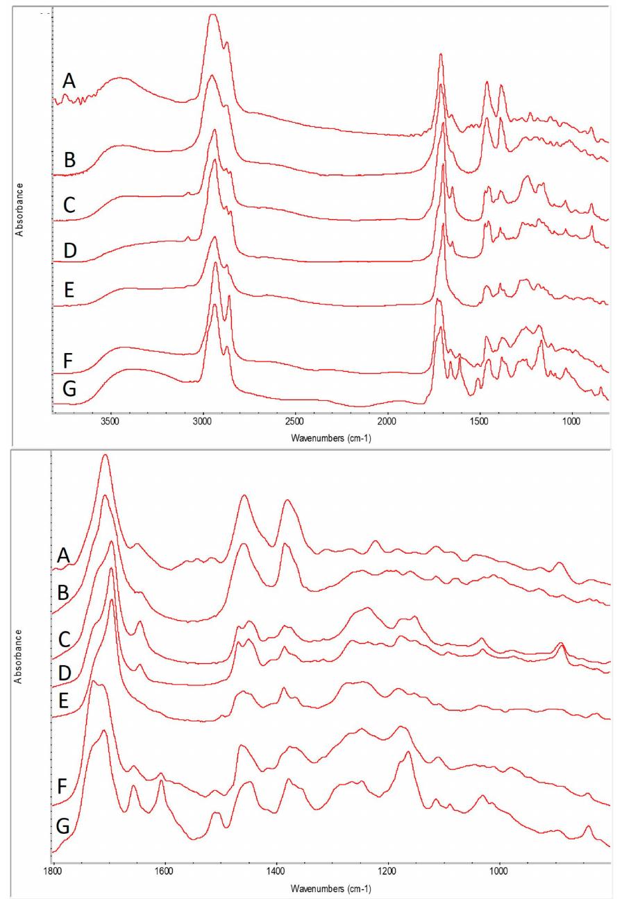 Ftir absorbance spectra of several diterpenoid and