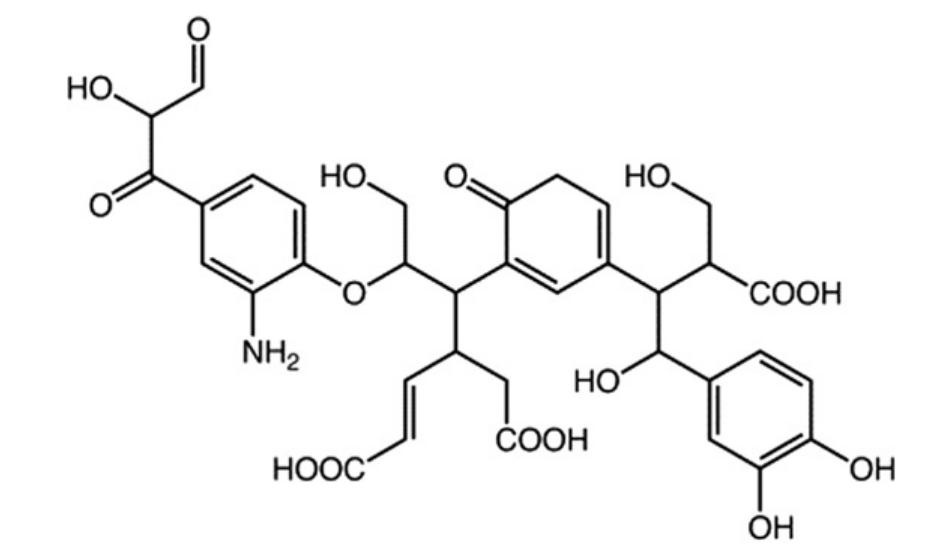Steelink’s structure of humic acid.