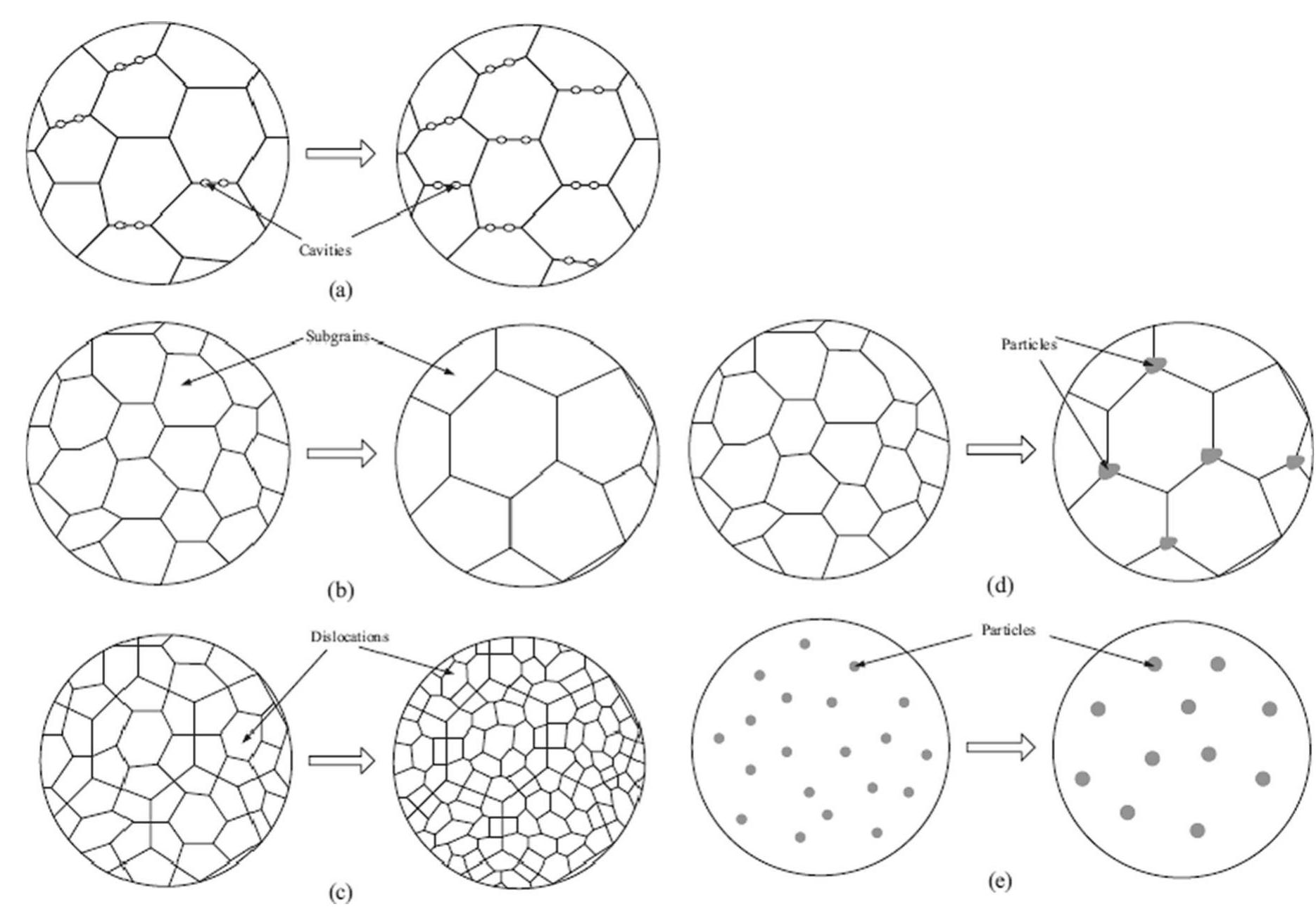 Schematic microscopic damage mechanisms in the creep