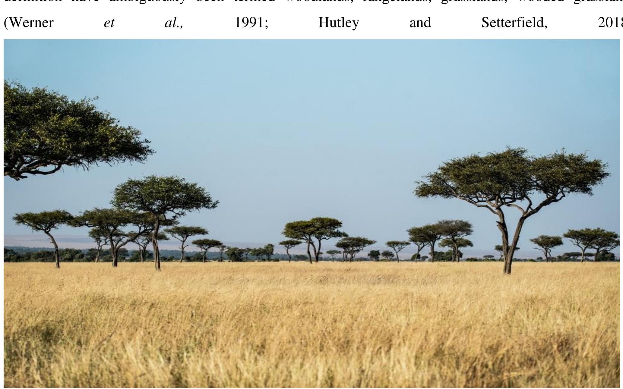 (PDF) Savanna Biomes In Nigeria: Indicatzor Species And Plant ...