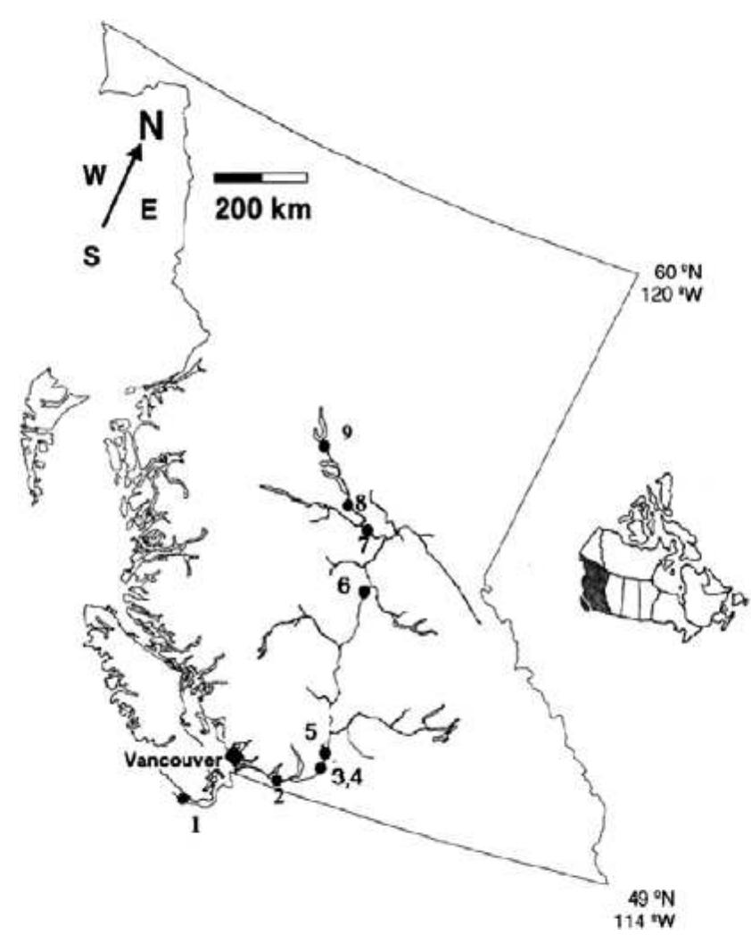 Ficure 1.—map of the fraser river in british columbia,