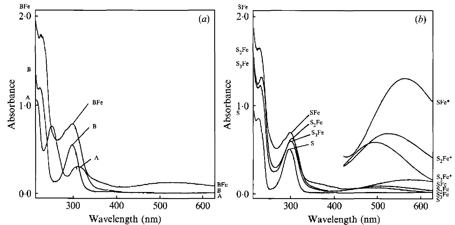(a) absorption spectra of methanolic solutions at ph 6 of