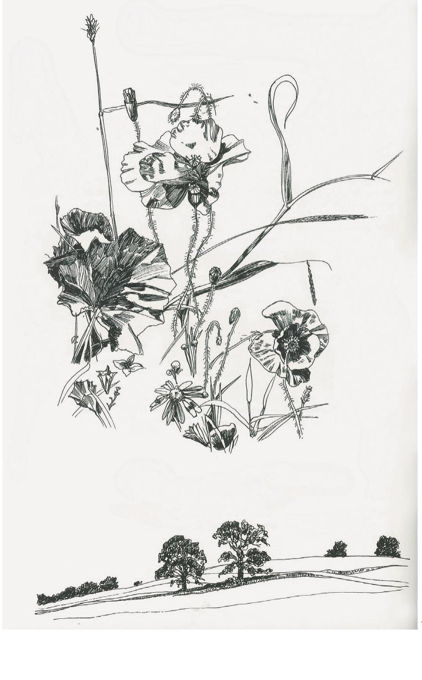 Figure 11 - Draw-Ing Drawing — Revisiting the Drawings by