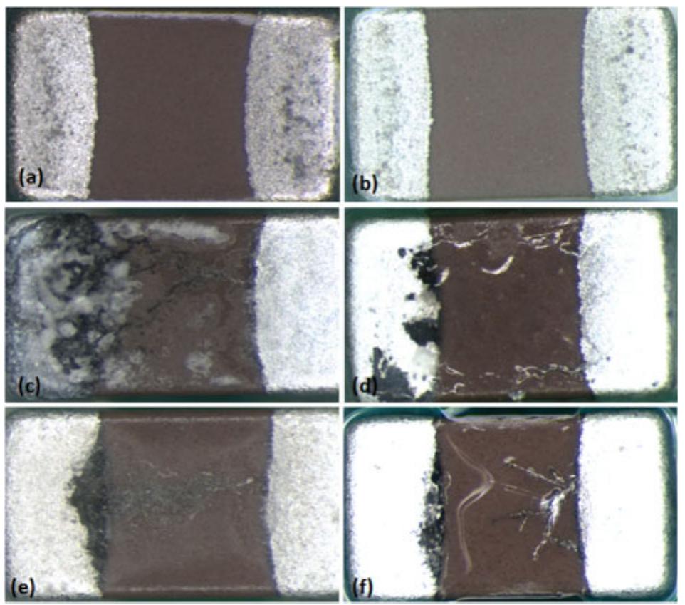 Typical surface morphology of chip capacitor on the test