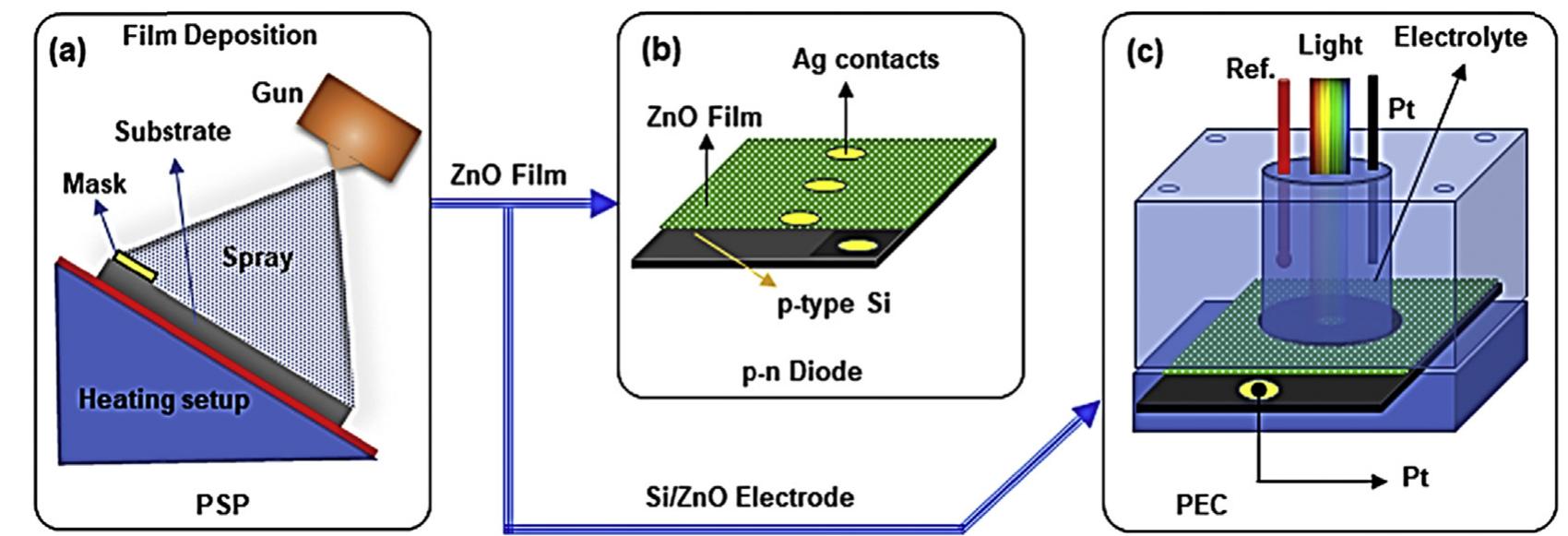 schematic representation of (a) surface coating of p-type