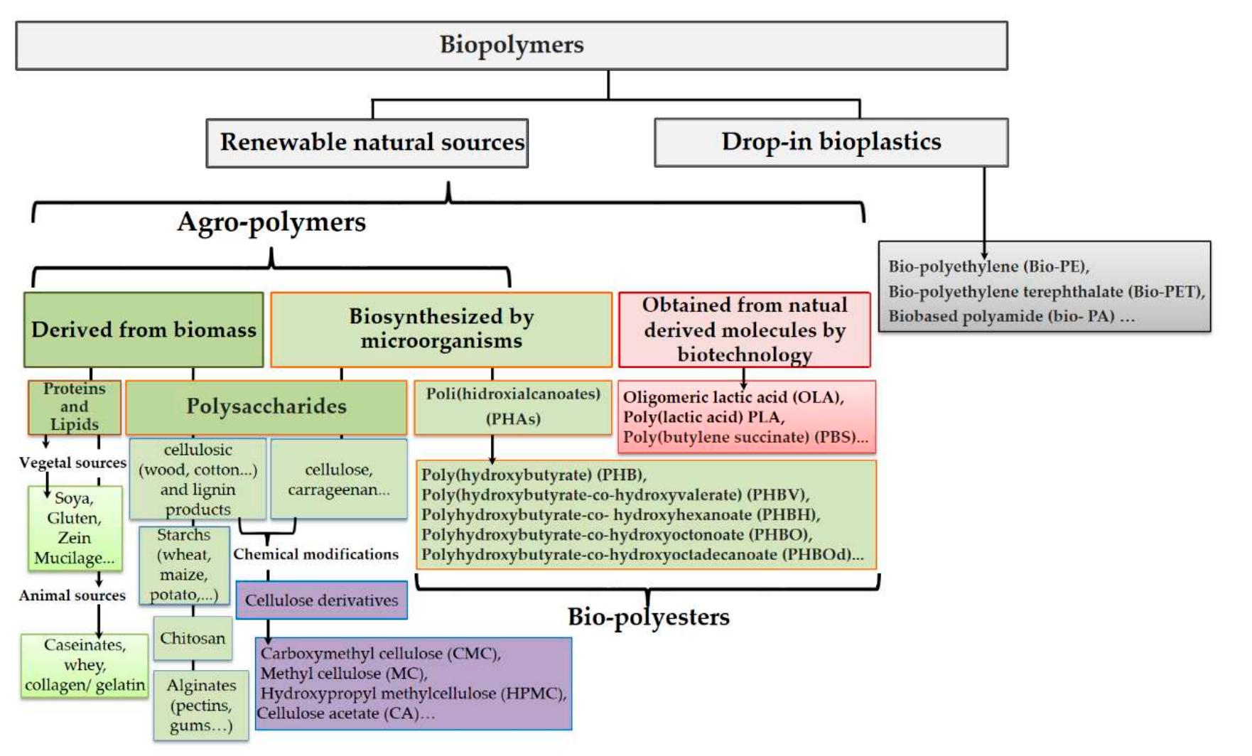 Classification of biobased polymers. figure 1.