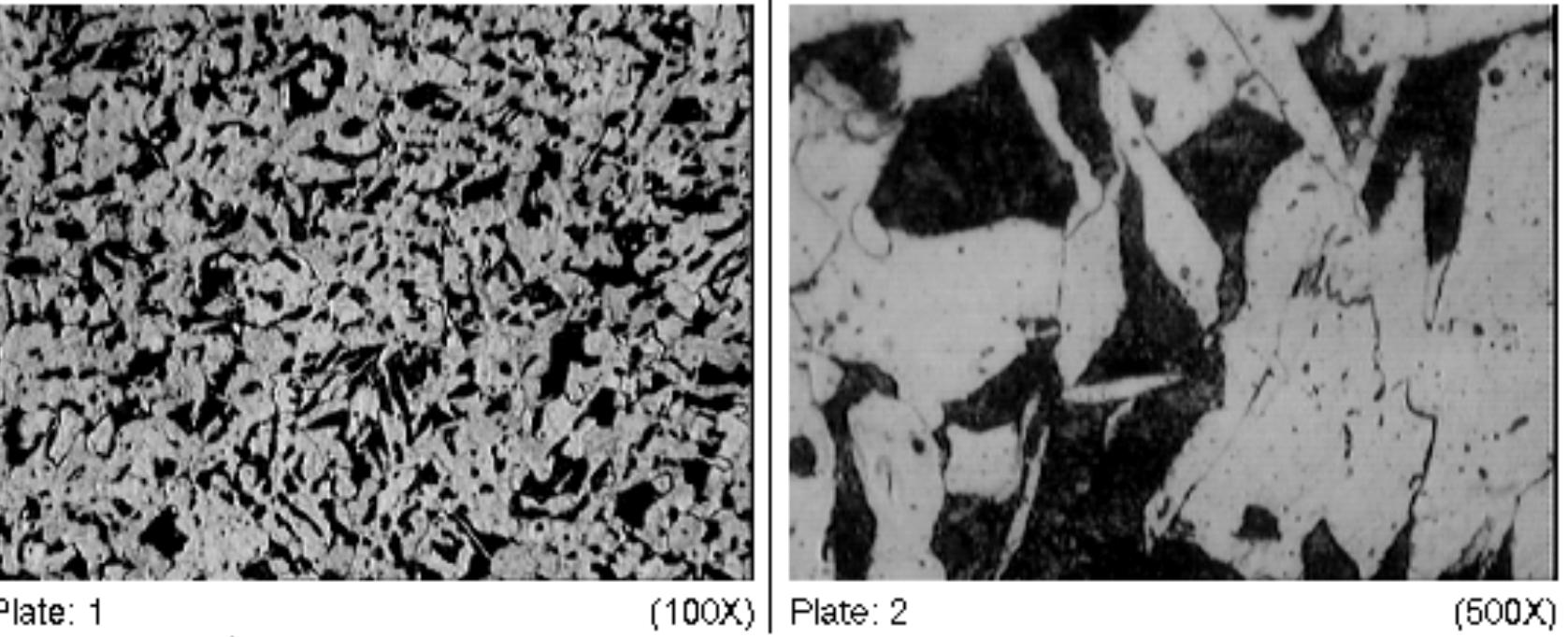 Microstructure of as cast material