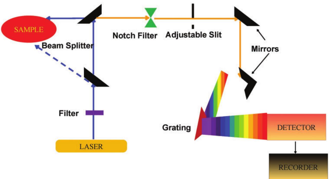 Schematic representation of raman scattering spectroscopy.