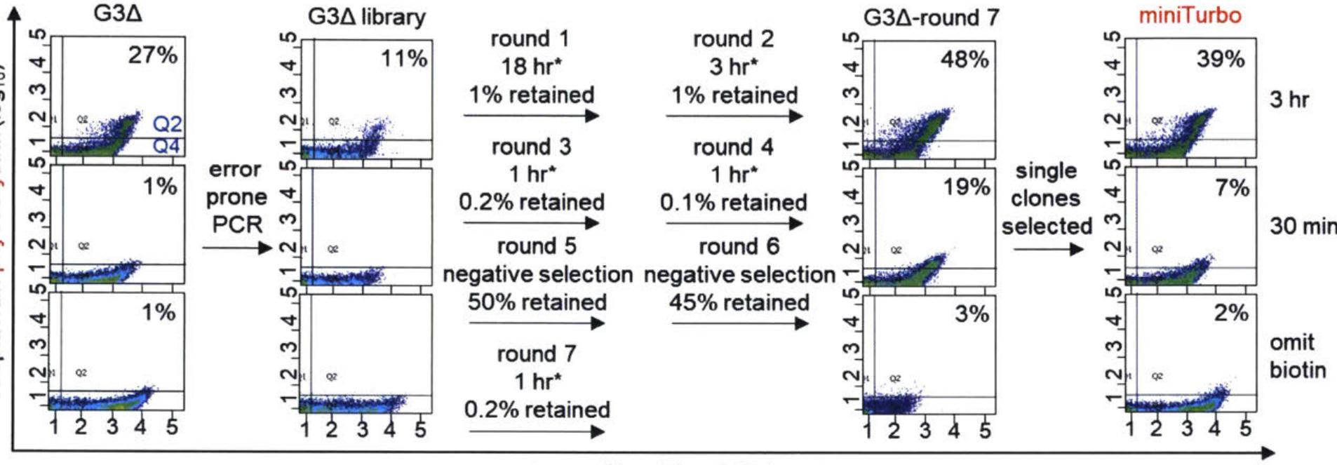 -11. evolution of miniturbo. facs data showing the evolution