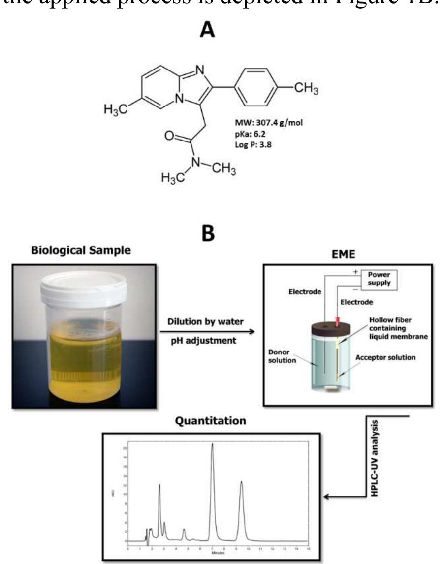 (a) chemical structure of zolpidem, and (b) schematic