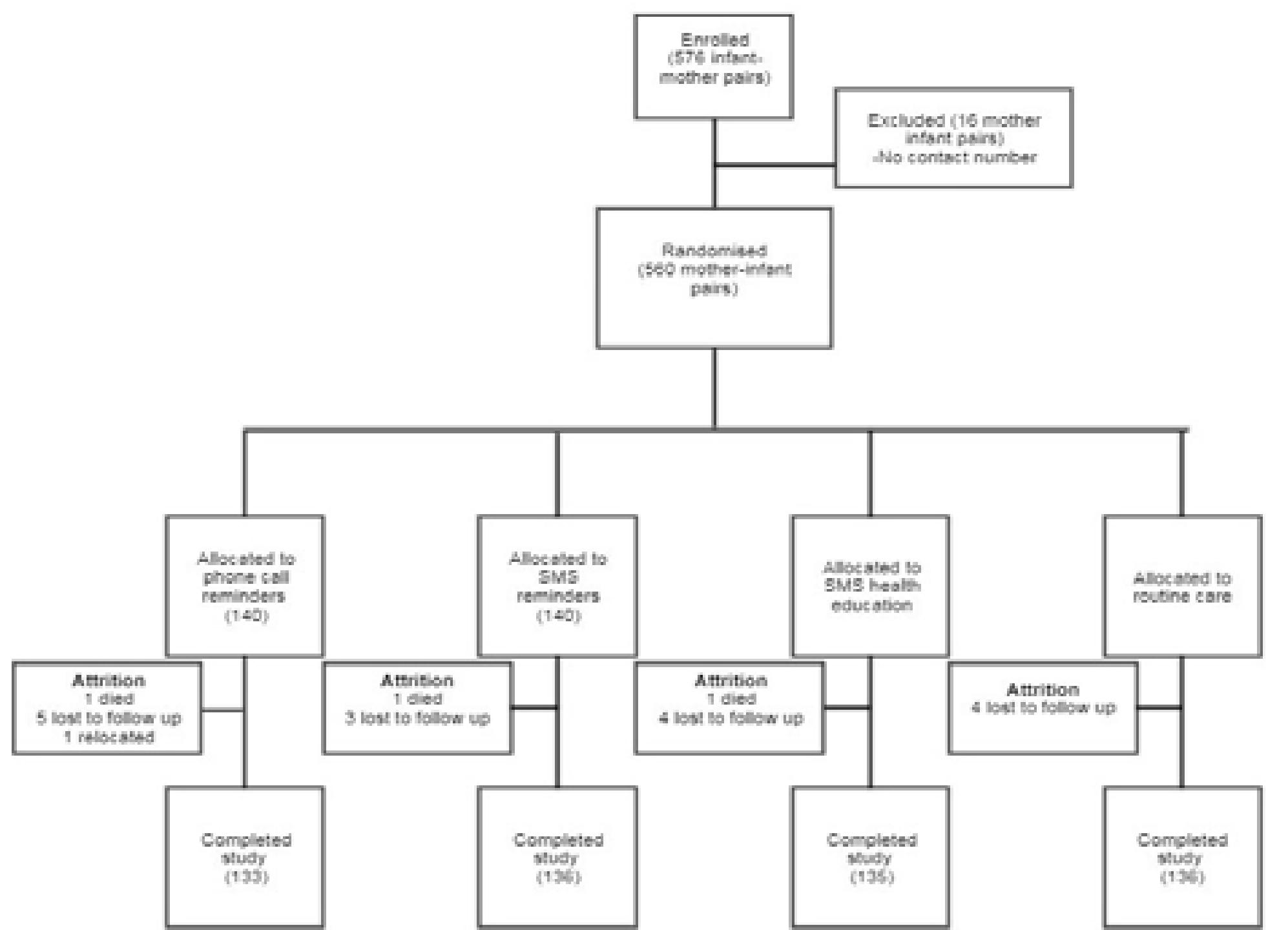 Flow chart of mother-infant pairs from enrolment to