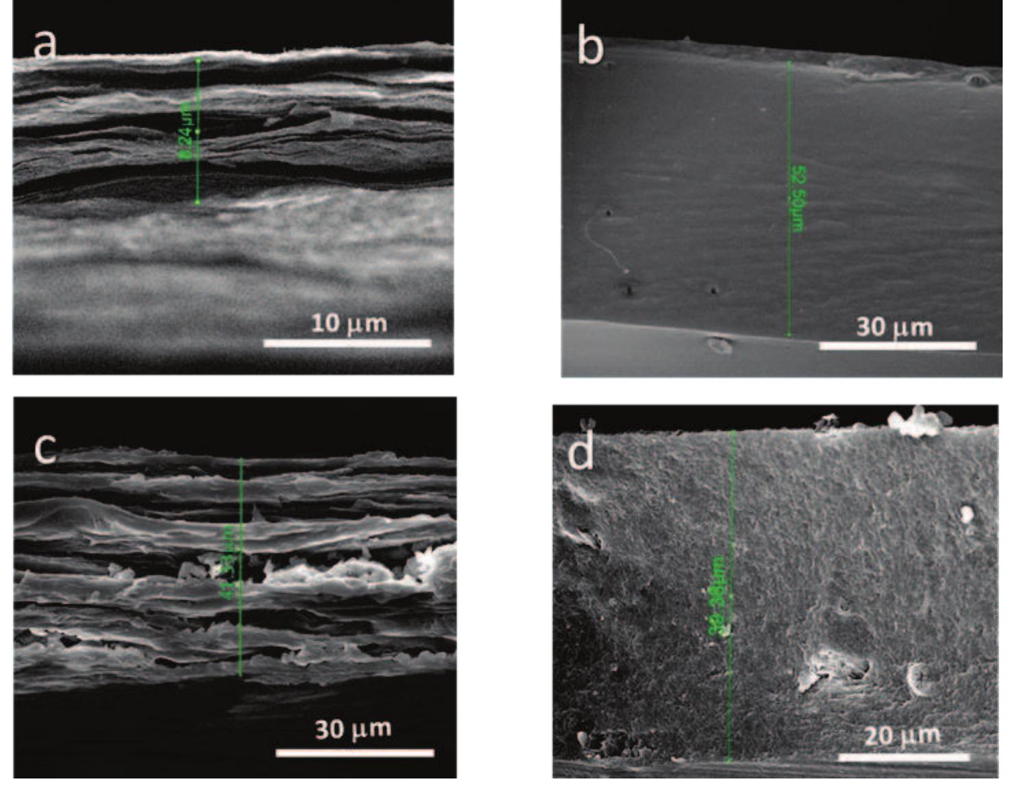 Sem cross sections: (a) graphene oxide, (b) chitosan, (c)