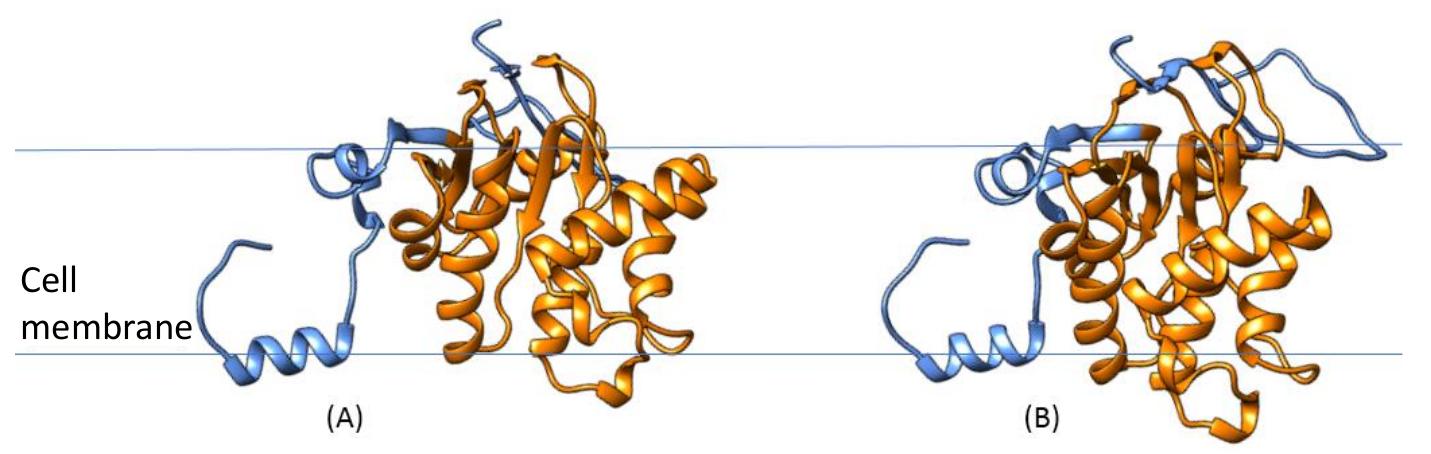 Abc transporter structure (sacol0694). shown in cartoon