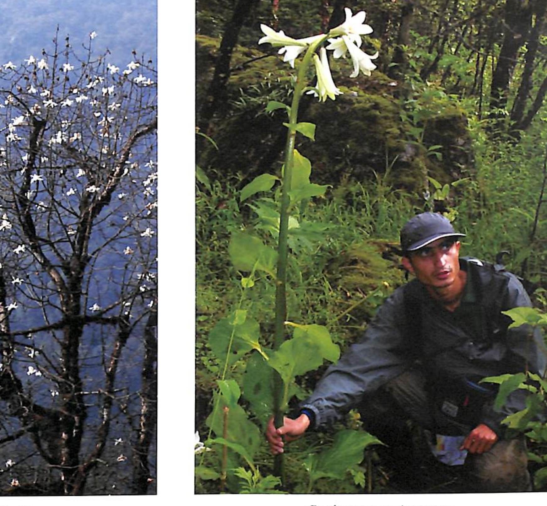 Figure 5 - Biodiversity of Sikkim: Exploring and Conserving