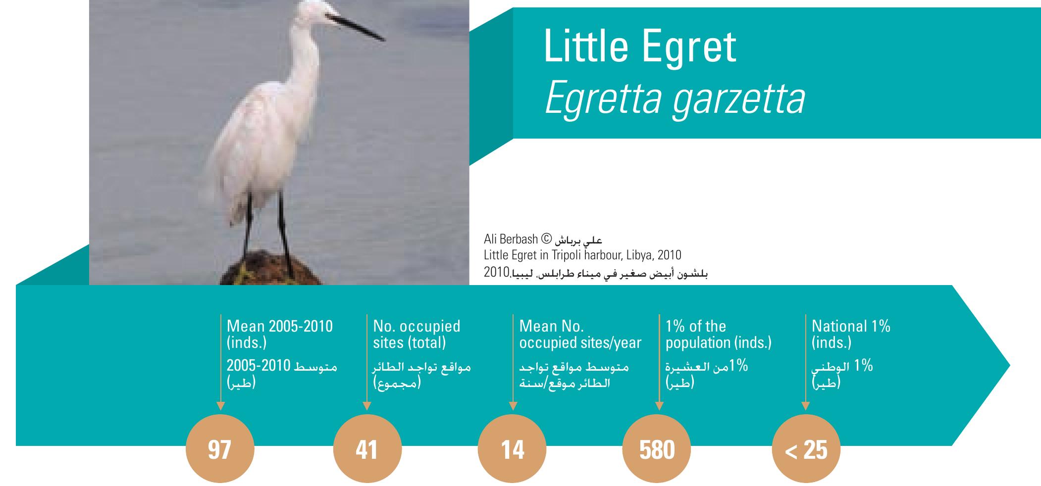 conservation status: least concern (iucn red list