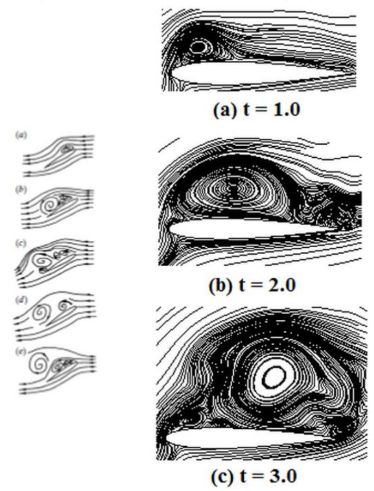 Schematic view of ‘leading edge vortex’ on the left and