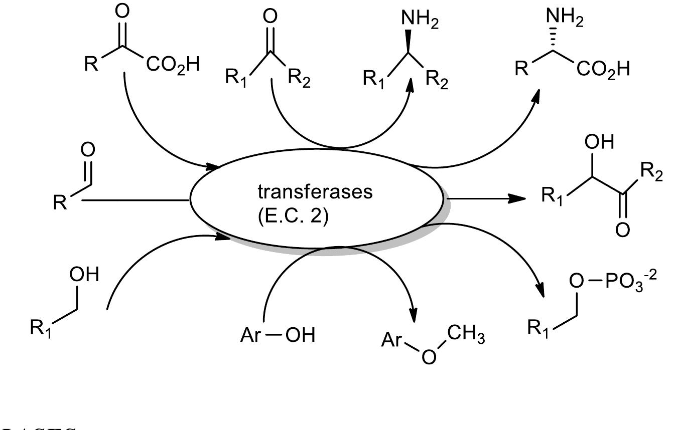 Below 15 shows the overview of selected reactions catalyzed