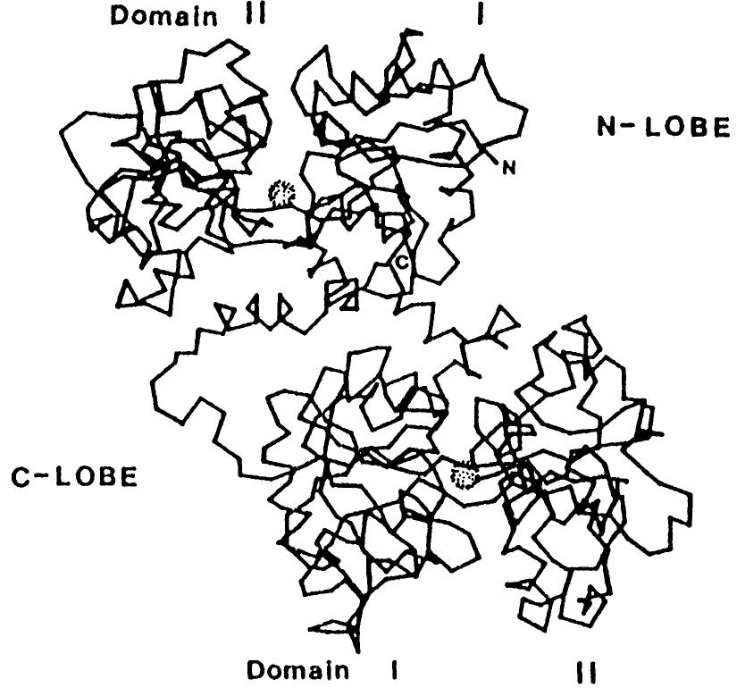 Figure 2 - Transferrin: From Inorganic Biochemistry to
