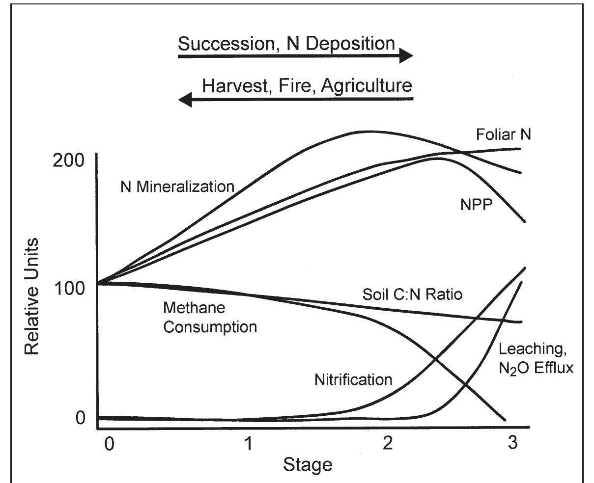 (PDF) The Nitrogen Cascade