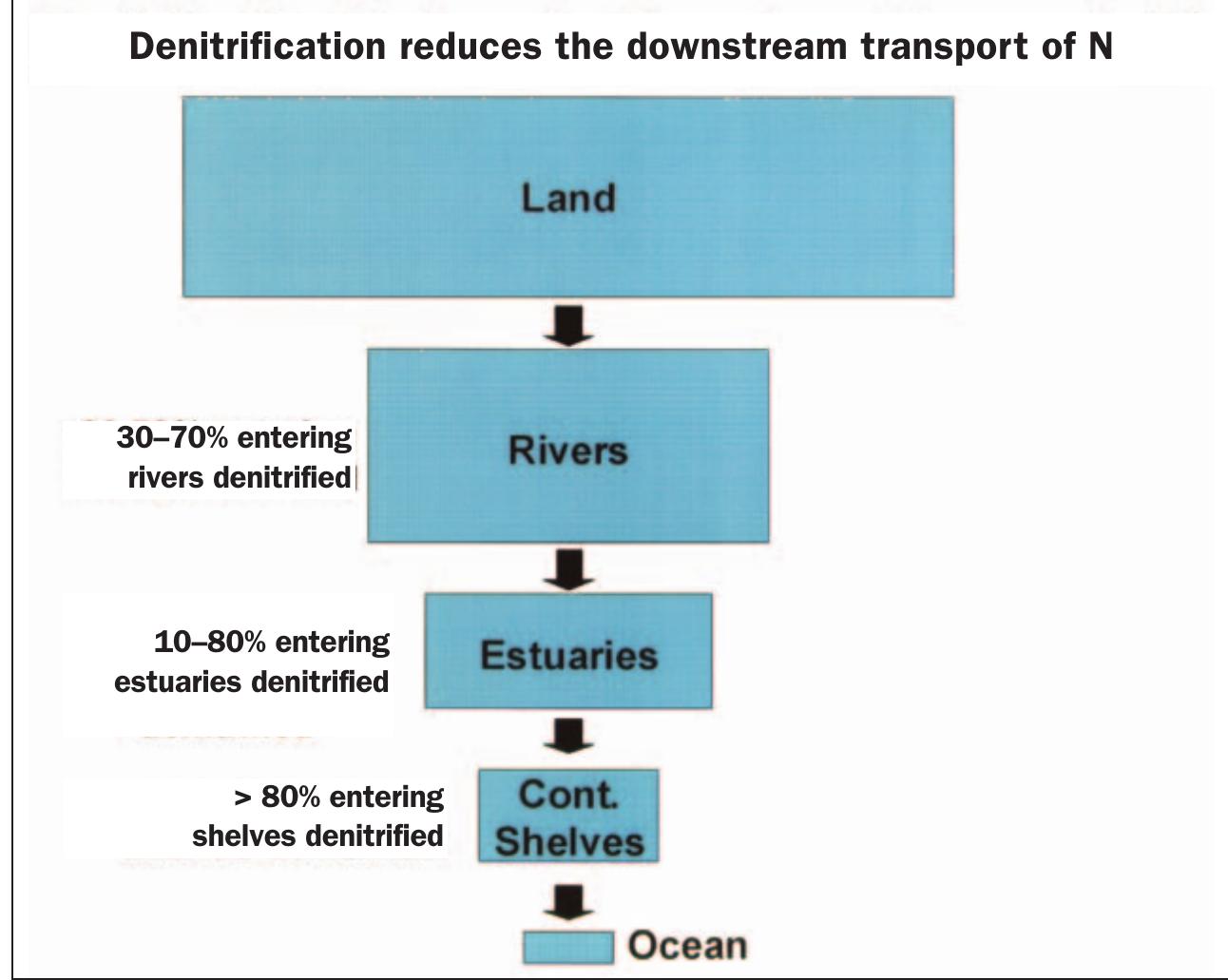 (PDF) The Nitrogen Cascade