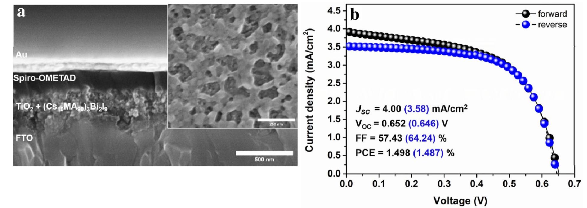 (a) cross-section and top-view sem images (inset scale bar