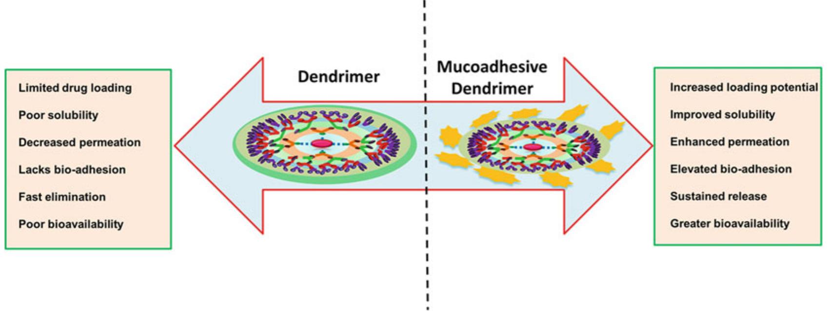 Advantages of mucoadhesive polymer-encrusted dendrimeric