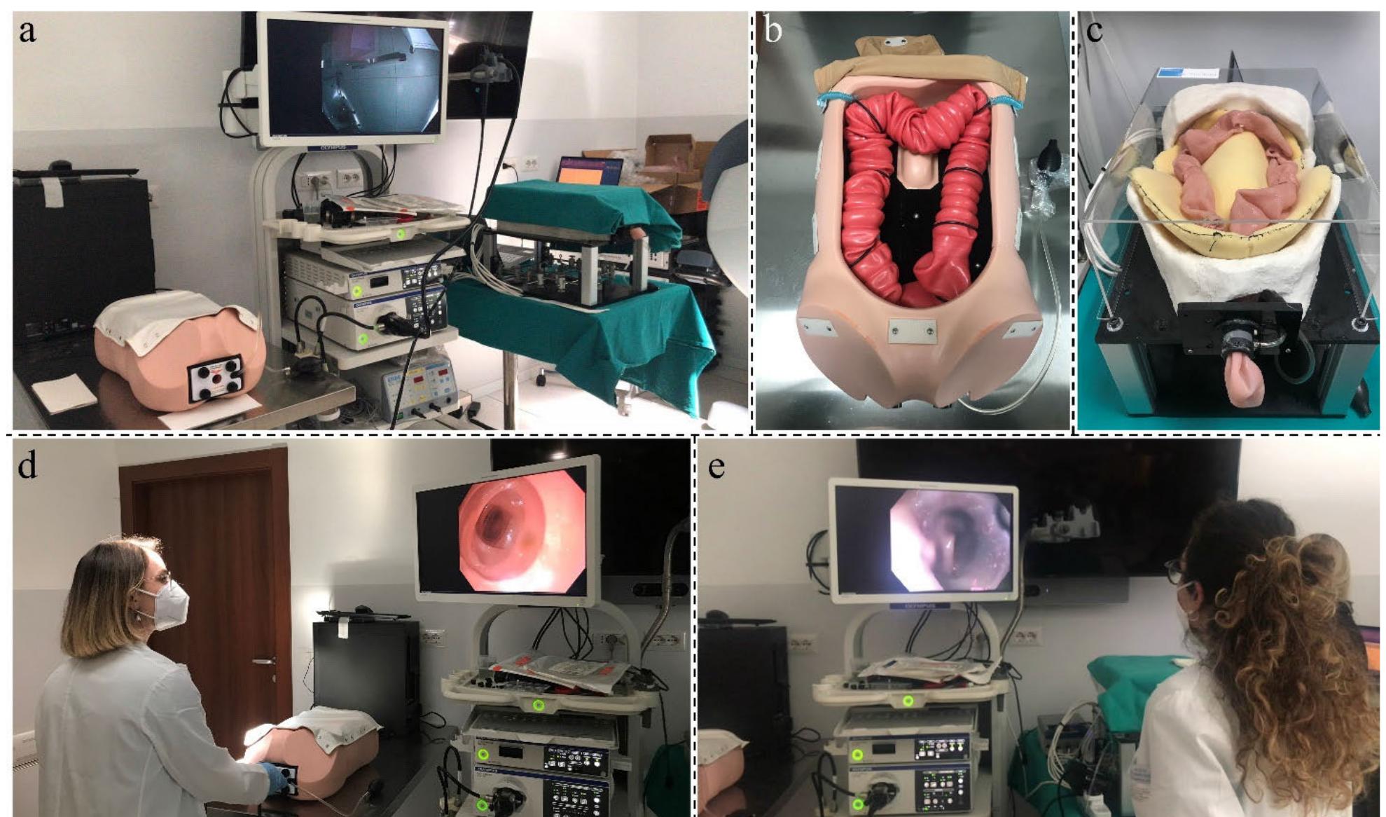 Figure 10 - Physical Simulator for Colonoscopy: A Modular