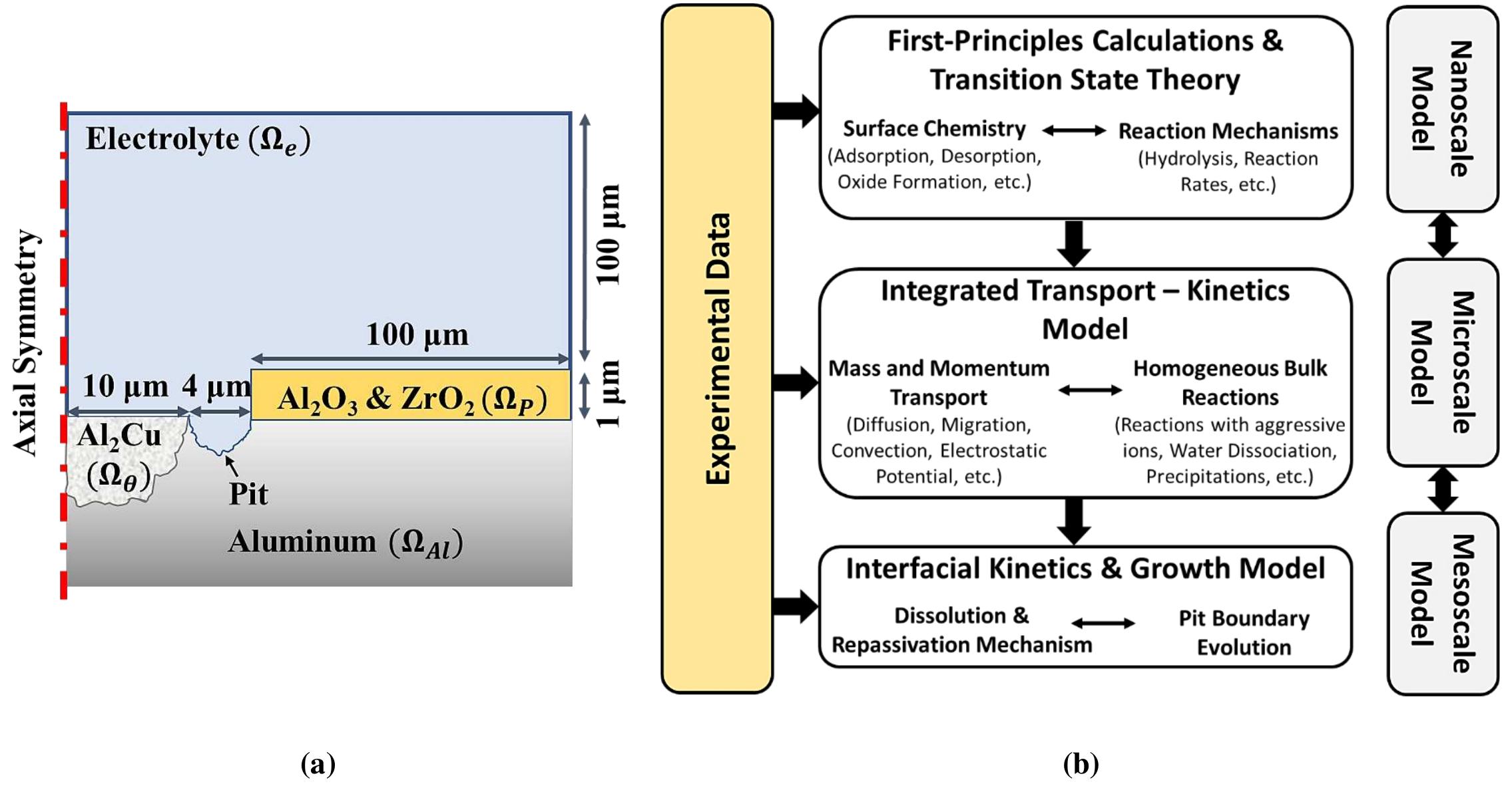 (a) schematic showing the geometry used for corrosion