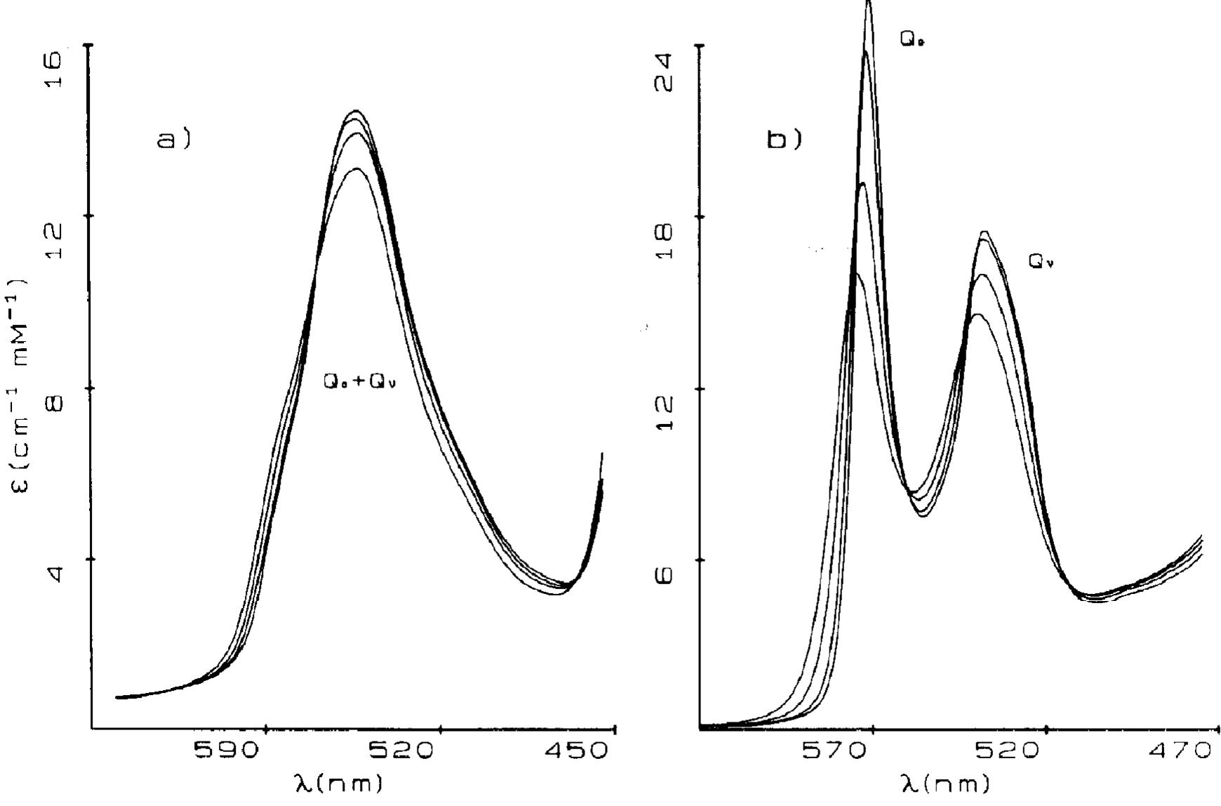 Visible absorption spectra (extinction coefficient on heme