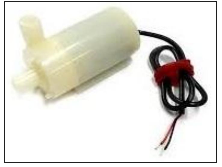 A water pump or motor is essential for irrigation work. for