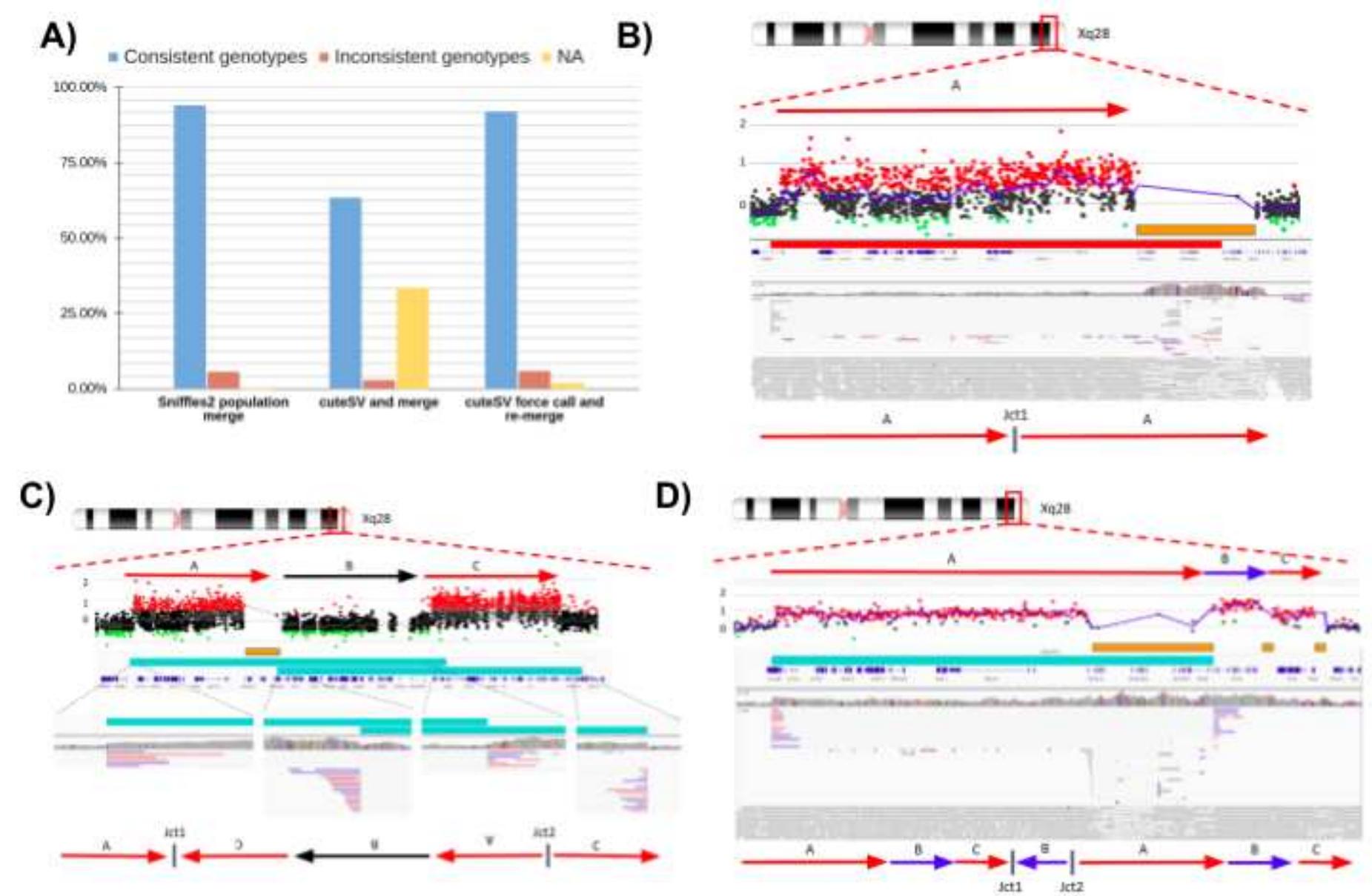 Figure 3 - Comprehensive Structural Variant Detection: From