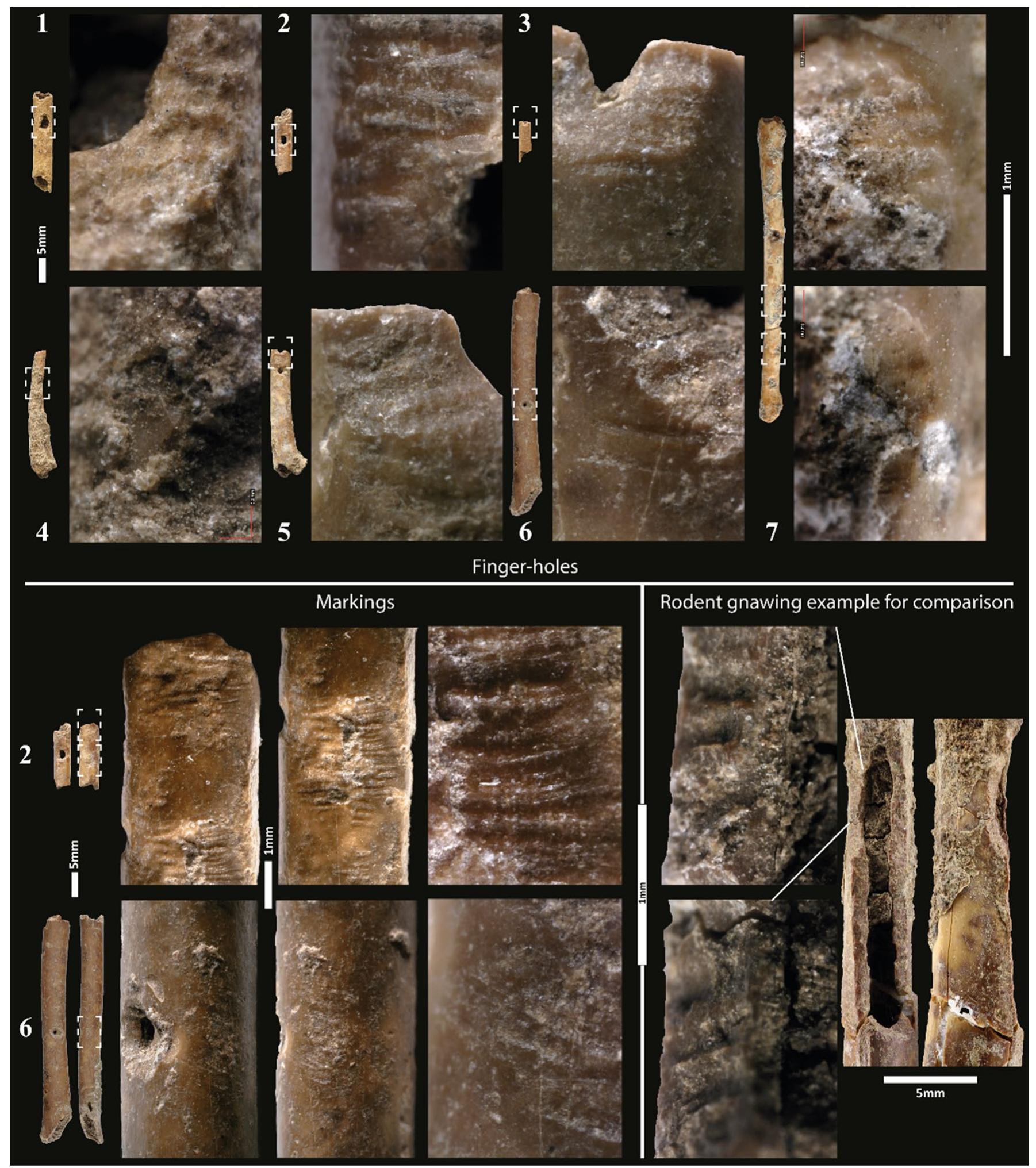 Details of the finger-holes and markings of the bone