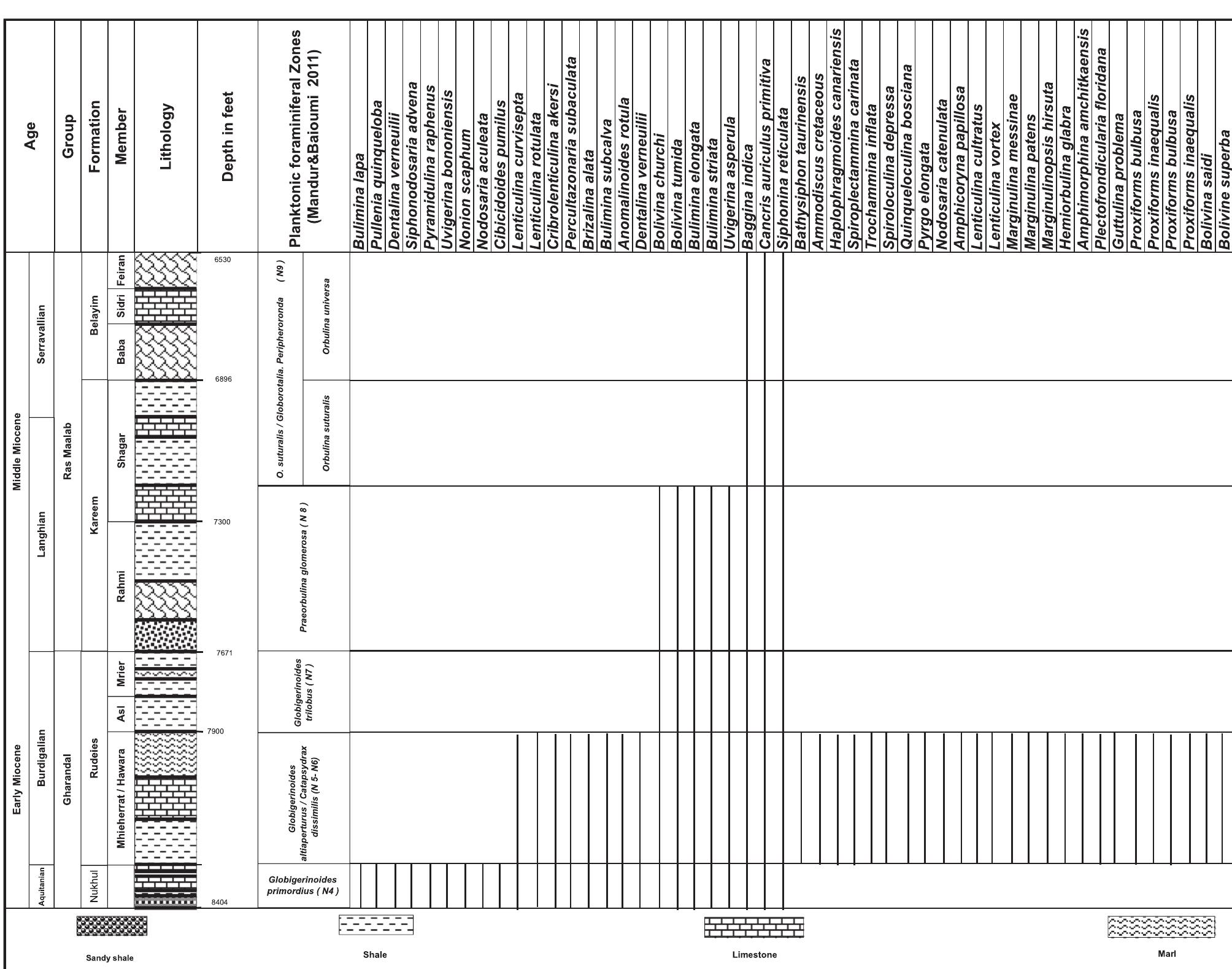 Stratigraphic range chart of the benthonic foraminiferal