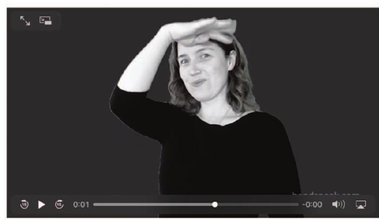 (PDF) On the Visual Presentation of Writing