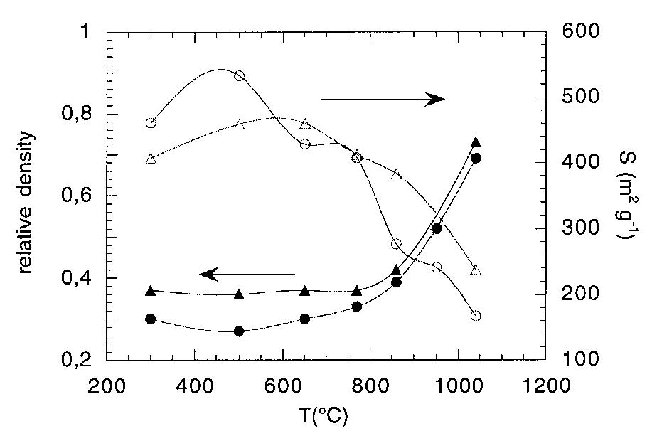 Relative density and specific surface area during the