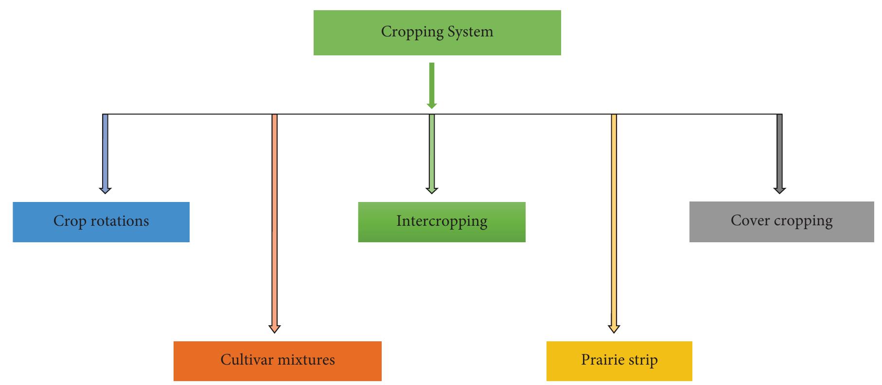 Ficure 1: different types of cropping system.