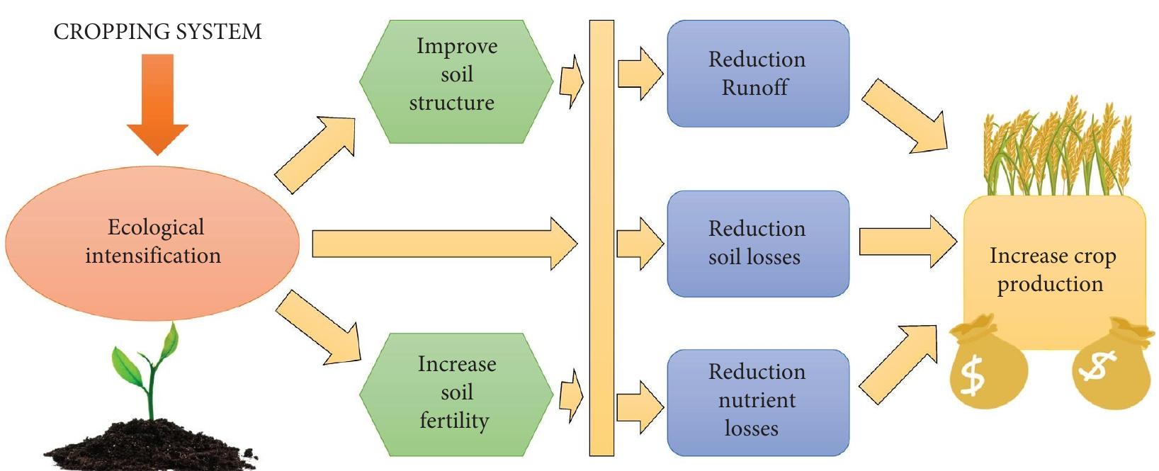 Role of cropping systems to improve soil health as well as