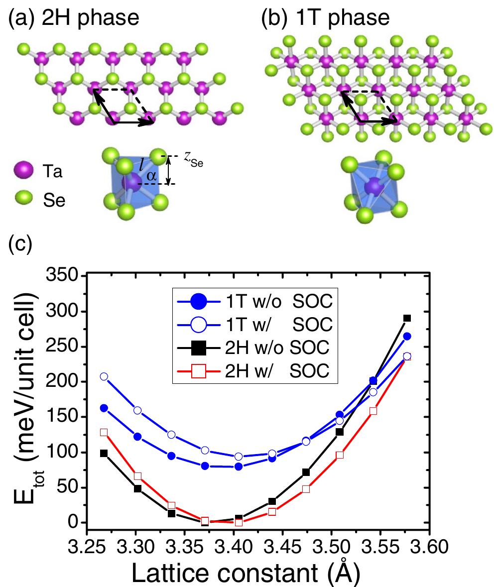 Crystal structures of monolayer tase,. (a) 2h phase and (b)